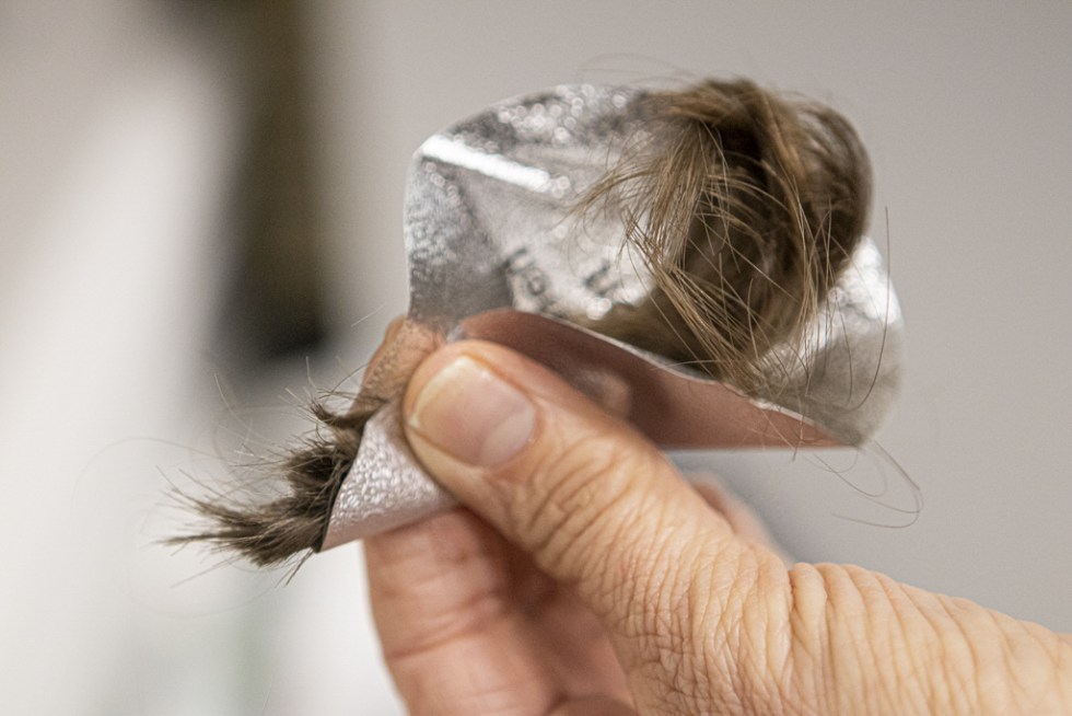 Hair Follicle Drug Testing | Butterfield Testing Solutions